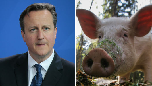 David Cameron Allegedly Put His Privates in a Pig
