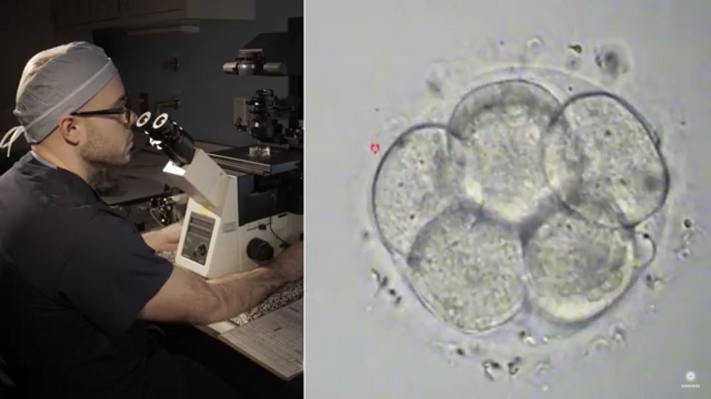 ‘Ghoulish’: Australian Company Turns IVF Embryos Into Jewelry