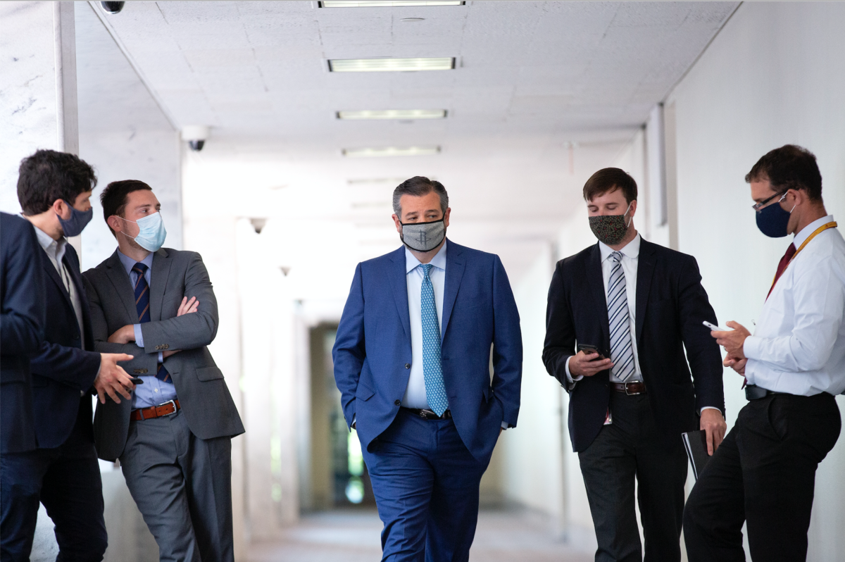 Ted Cruz Blasts Former McCain Adviser Steve Schmidt: 'Cretin'