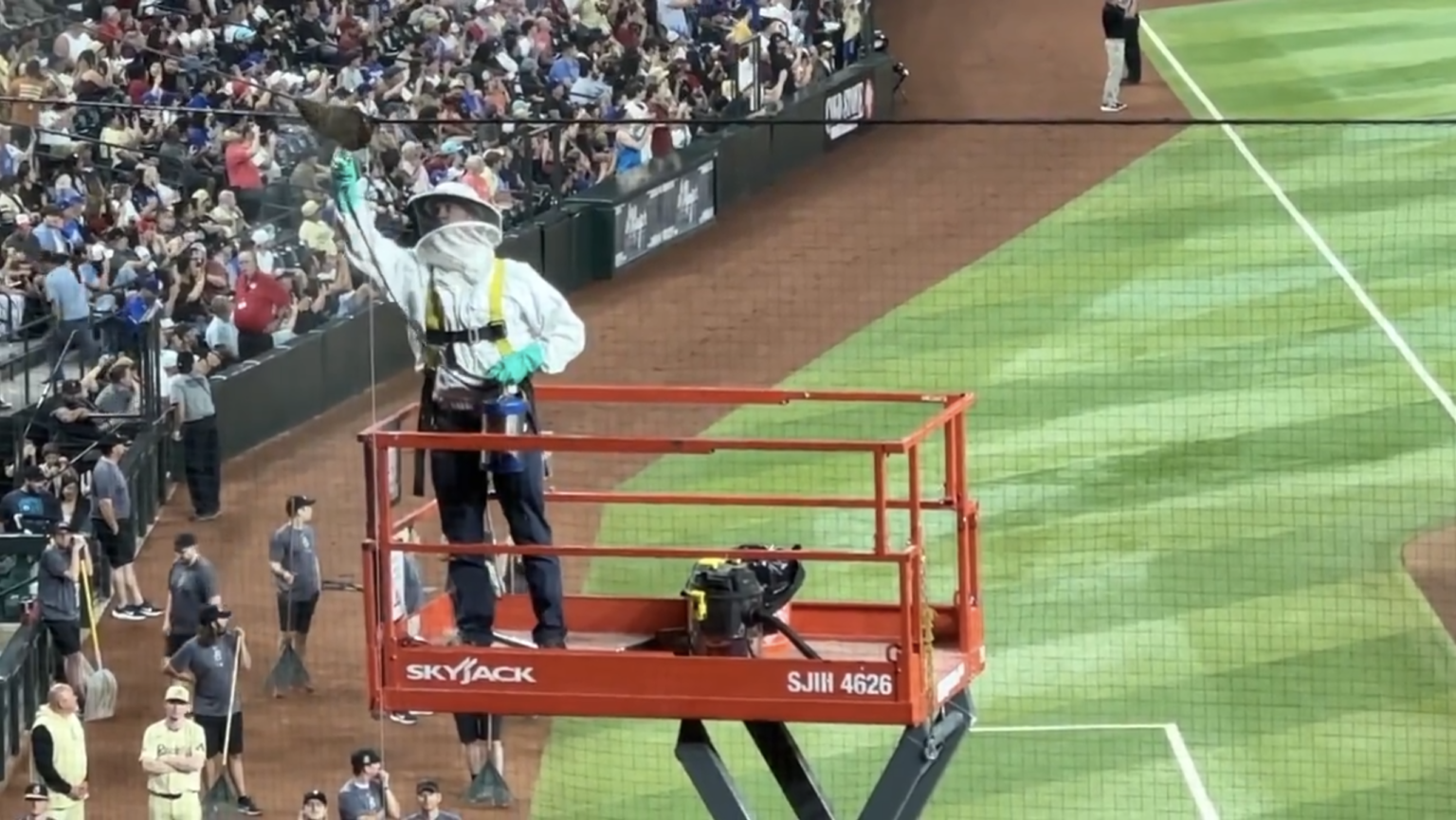 Beekeeper Saves the Day After Two-Hour Delay at D-Backs Game