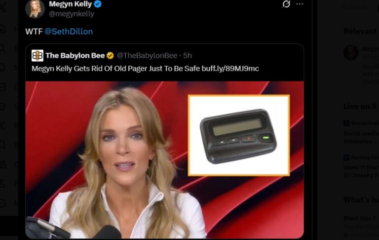 Megyn Kelly Cries 'WTF' Over Babylon Bee Pager Joke